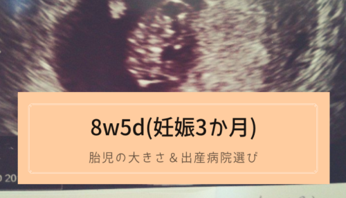 8w5d/胎児の大きさ・エコー。総合病院と個人病院どっちが良い？ | てんの育児キロク